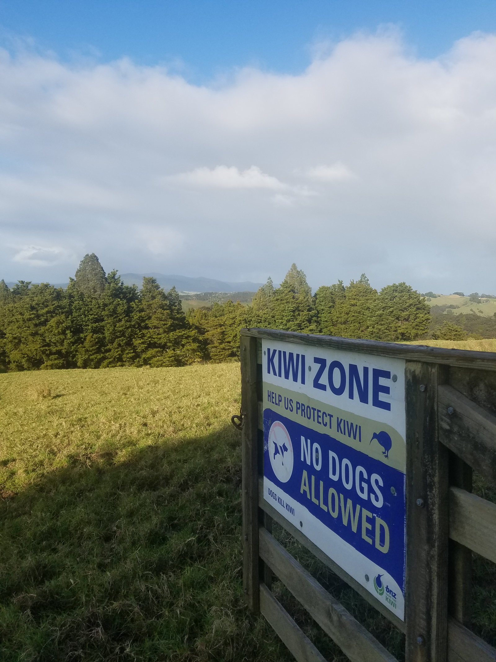 Steve Allan SA2 Traps | Blog | Good Woods Products